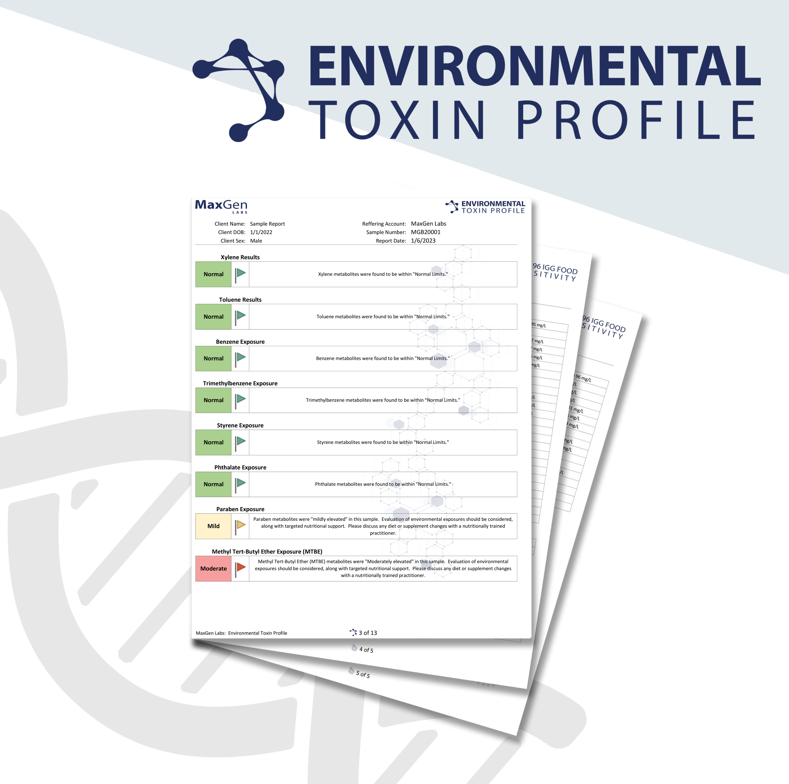 Environmental Toxin Profile — MaxGen Labs