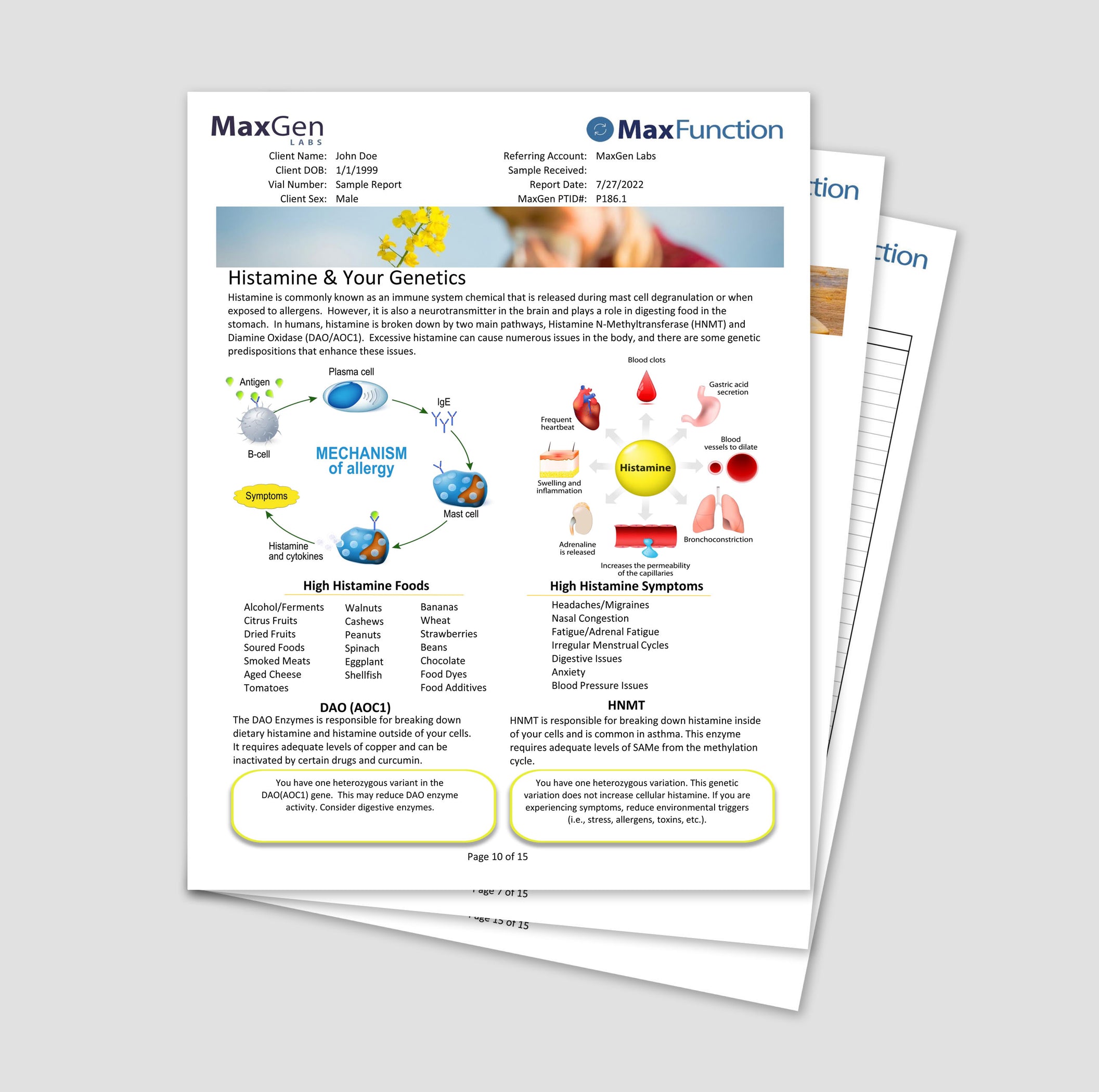 MaxFunction Panel | MaxGen Labs | Geneting Testing Kits